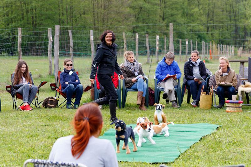 Dogs Institut - Rund um den Hund | top10berlin