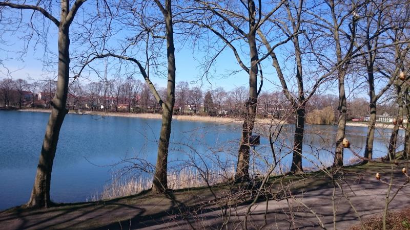 Orankesee Terrassen - Ausflugslokale am Wasser | top10berlin