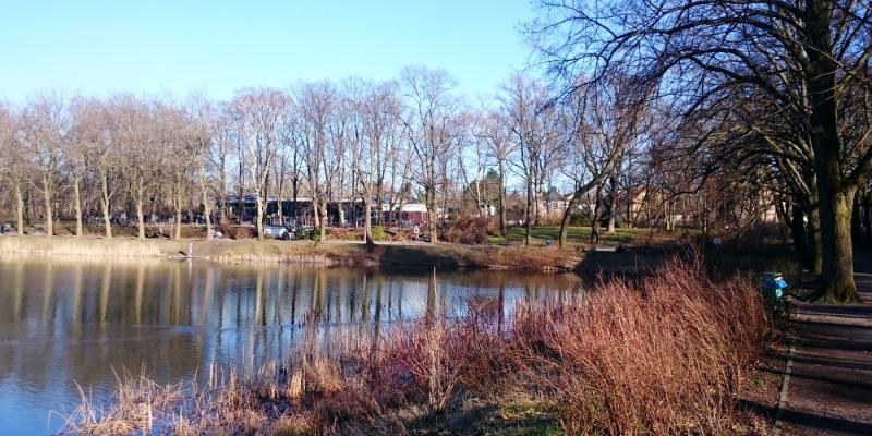 Orankesee Terrassen - Ausflugslokale am Wasser | top10berlin